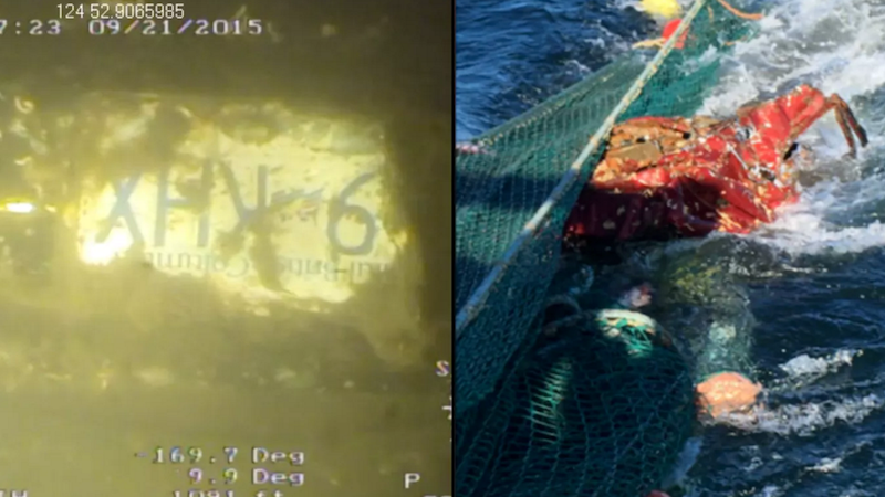 Autootpad na dnu oceana: Automobili padaju s brodova i prijetnja su staništima morskih životinja ...